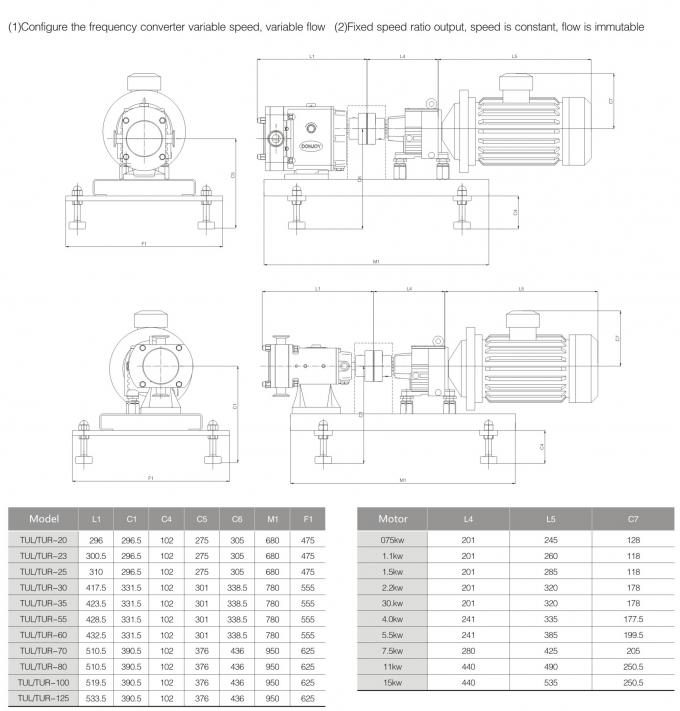 SS316L TUL-60 Positive pump freqency motor for transfer fluild tank to tank