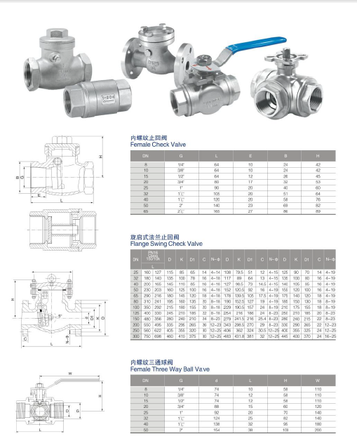 SS304 /SS316L ,Stinaless steel BSP Female thread swing Check valve,